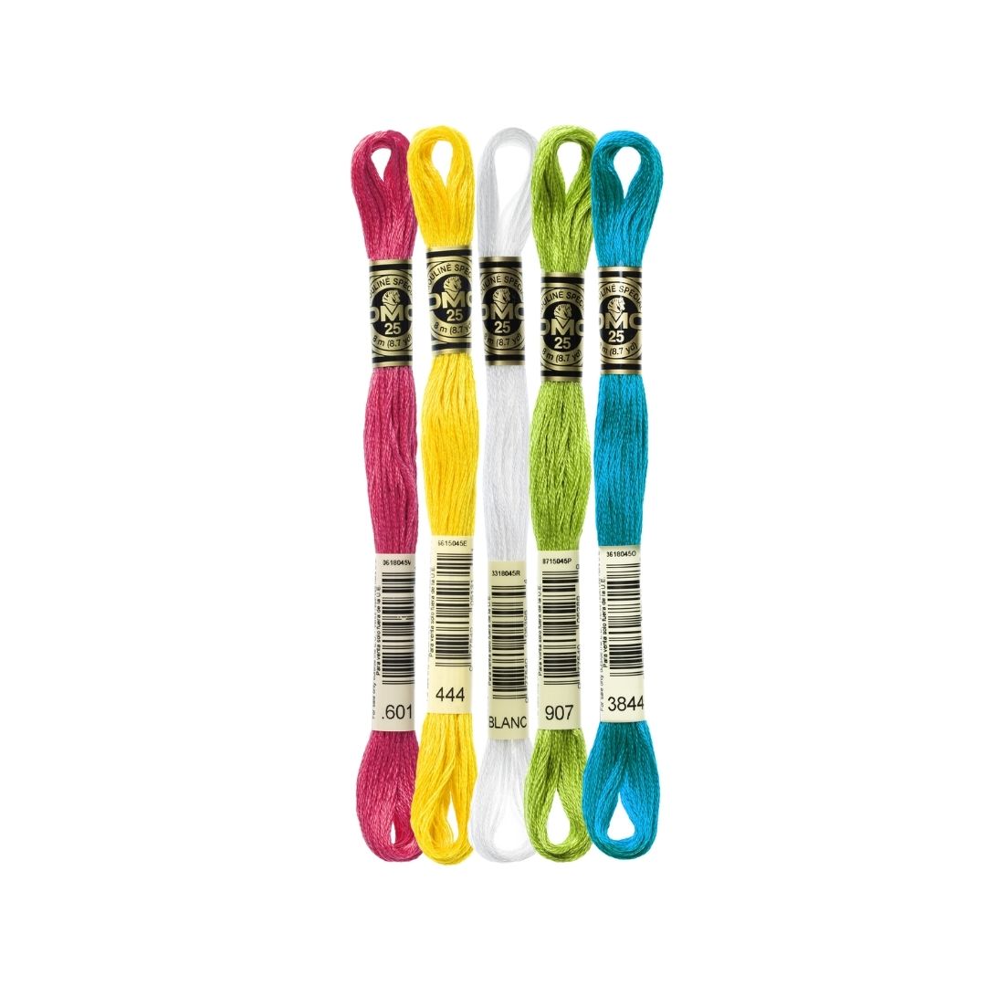 DMC Stranded Cotton Mouliné Spécial Embroidery Thread Colour Pack (Col ...